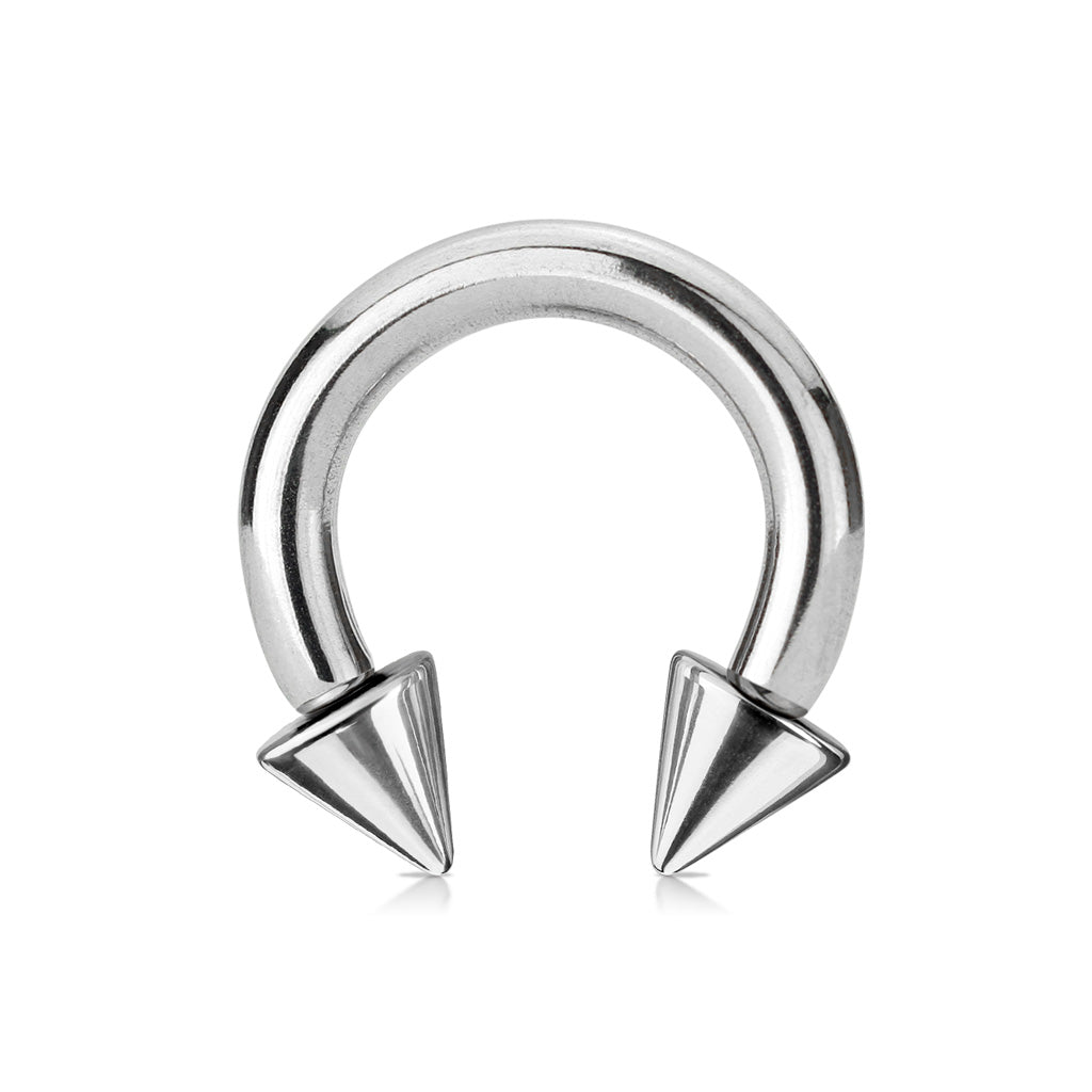 Prince Albert PA Piercing – Totally Pierced