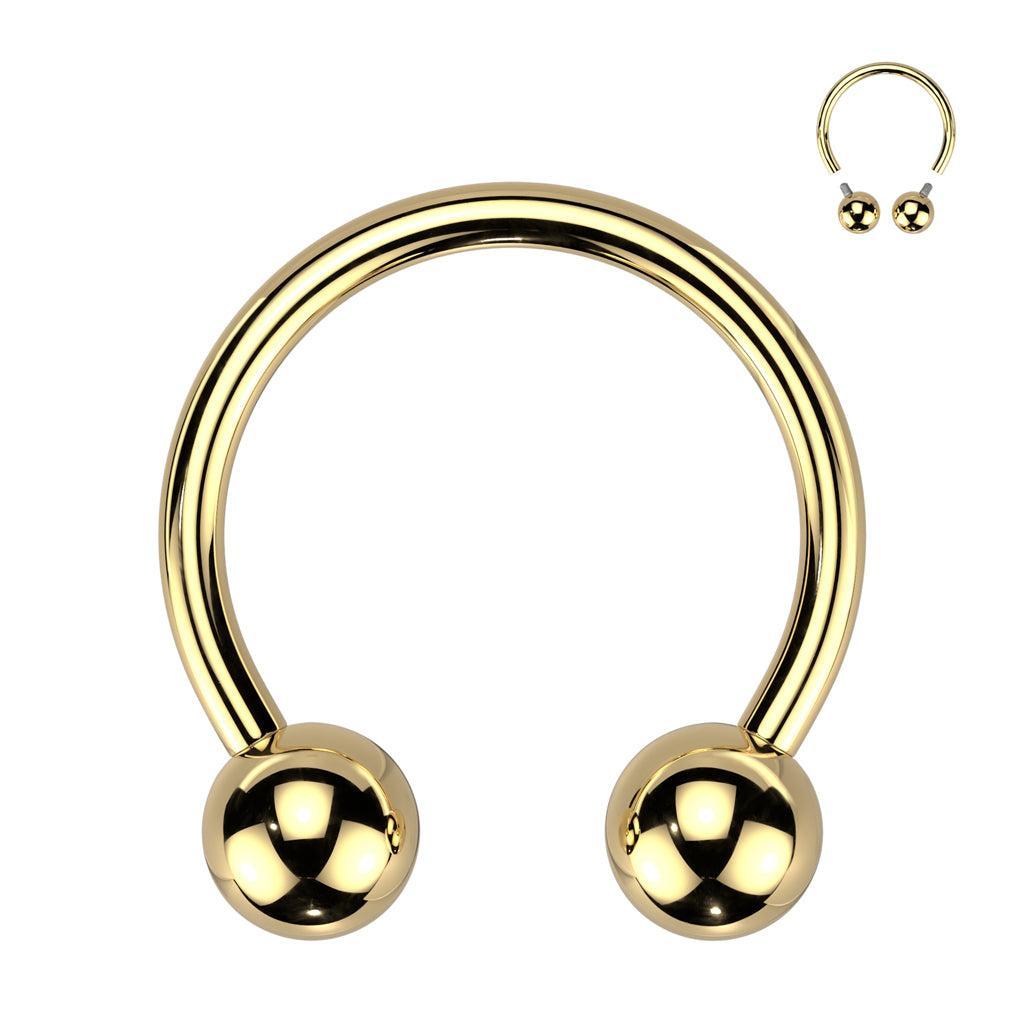 Prince Albert PA Piercing – Totally Pierced